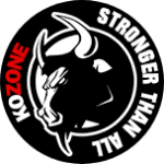 MMA Gym Miami | Boxing, Muay Thai, BJJ, Kickboxing | KO Zone